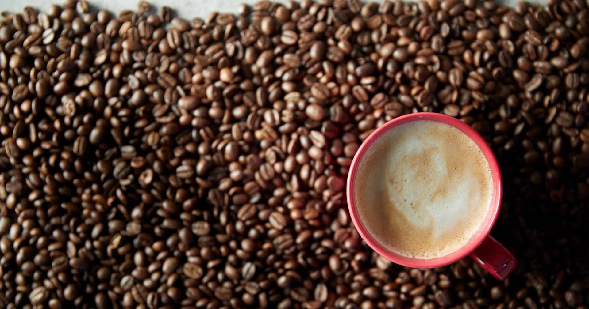 The coffee bean journey explained - from crop to cup - FreshGround