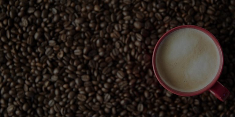 Spilling The Beans - FreshGround