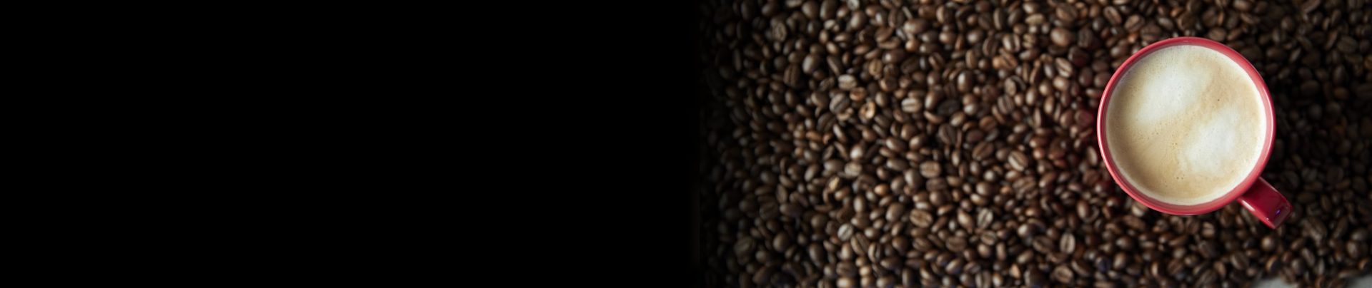 Spilling The Beans - FreshGround