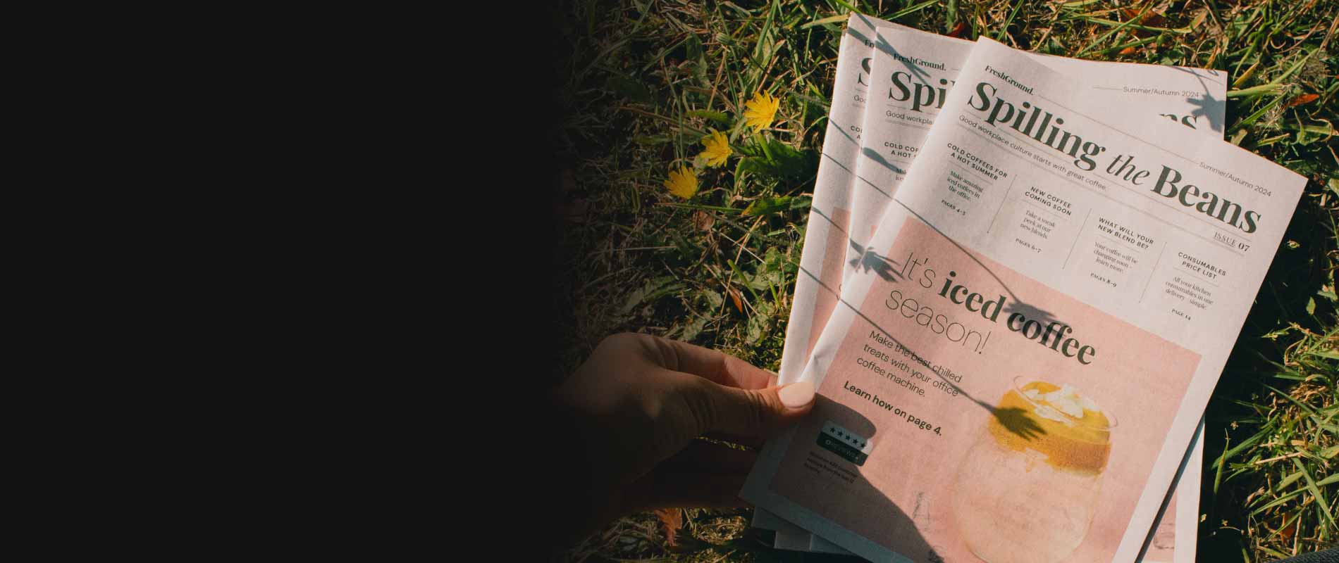 Spilling The Beans - FreshGround